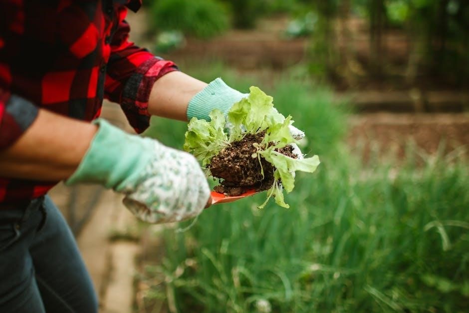 Queensland Vegetable Planting Guide | Expert Tips & Seasonal Advice